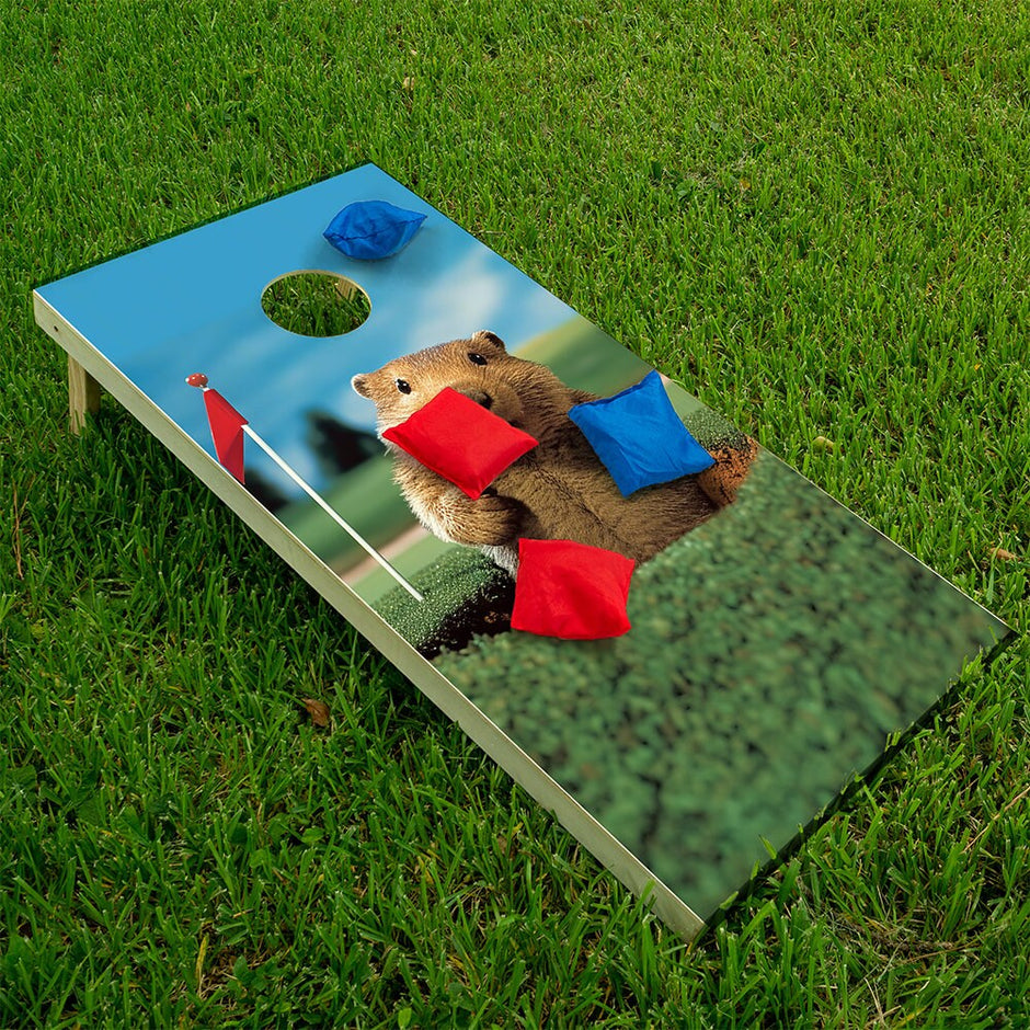 New! - Cornhole Board Wraps - Lone Star Art